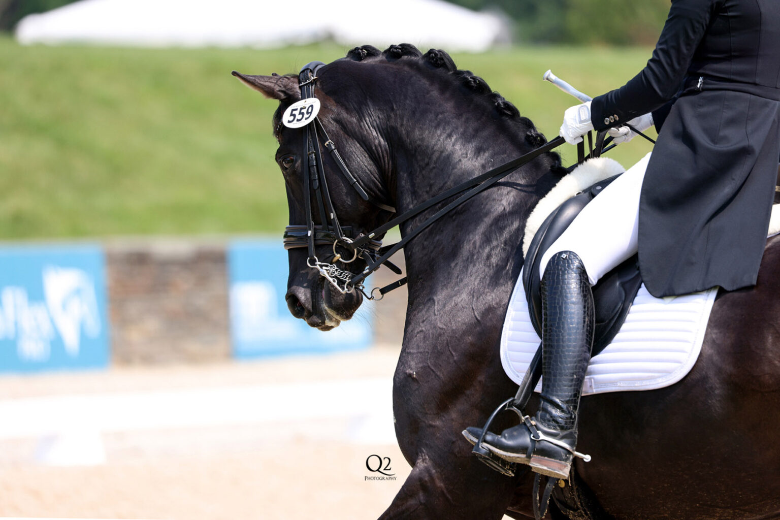 Home - HITS Horse Shows