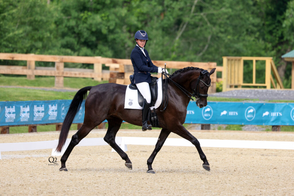 About - HITS Horse Shows