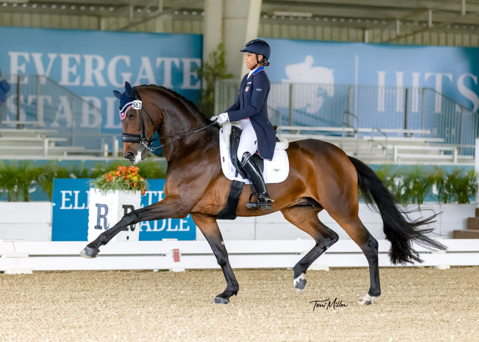 HITS Events - HITS Horse Shows