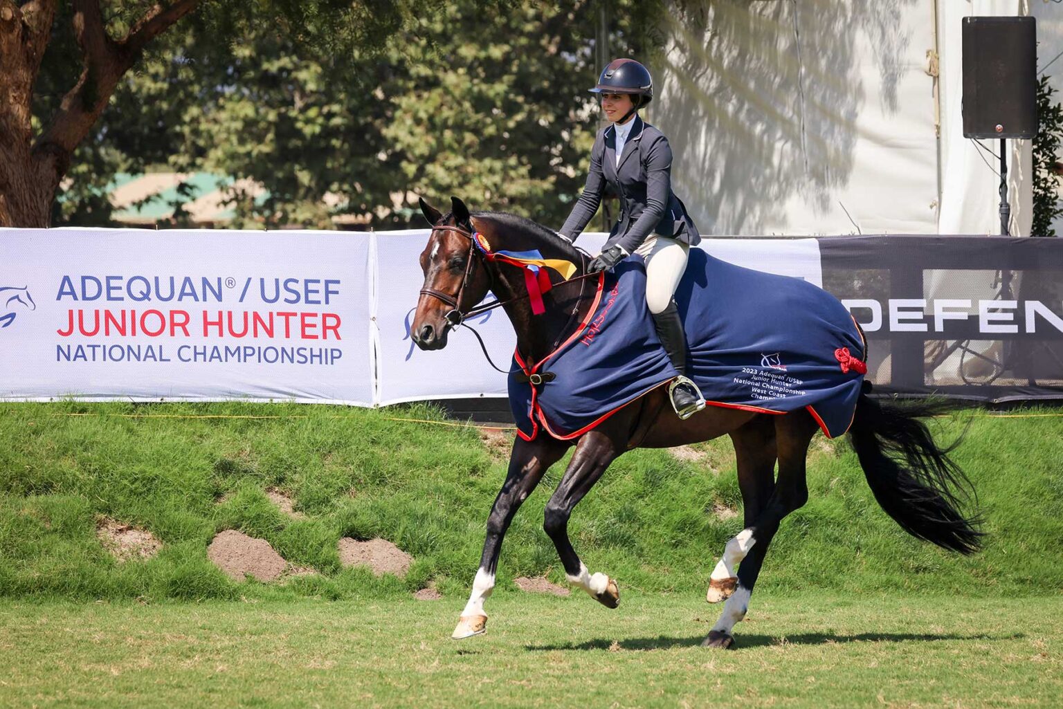 Events from July 18 – August 2 – HITS Horse Shows