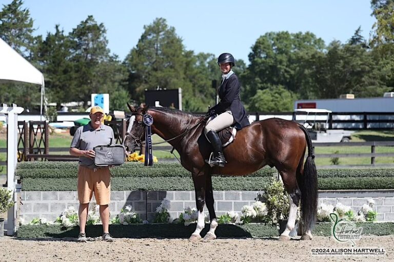 HITS Culpeper - HITS Horse Shows