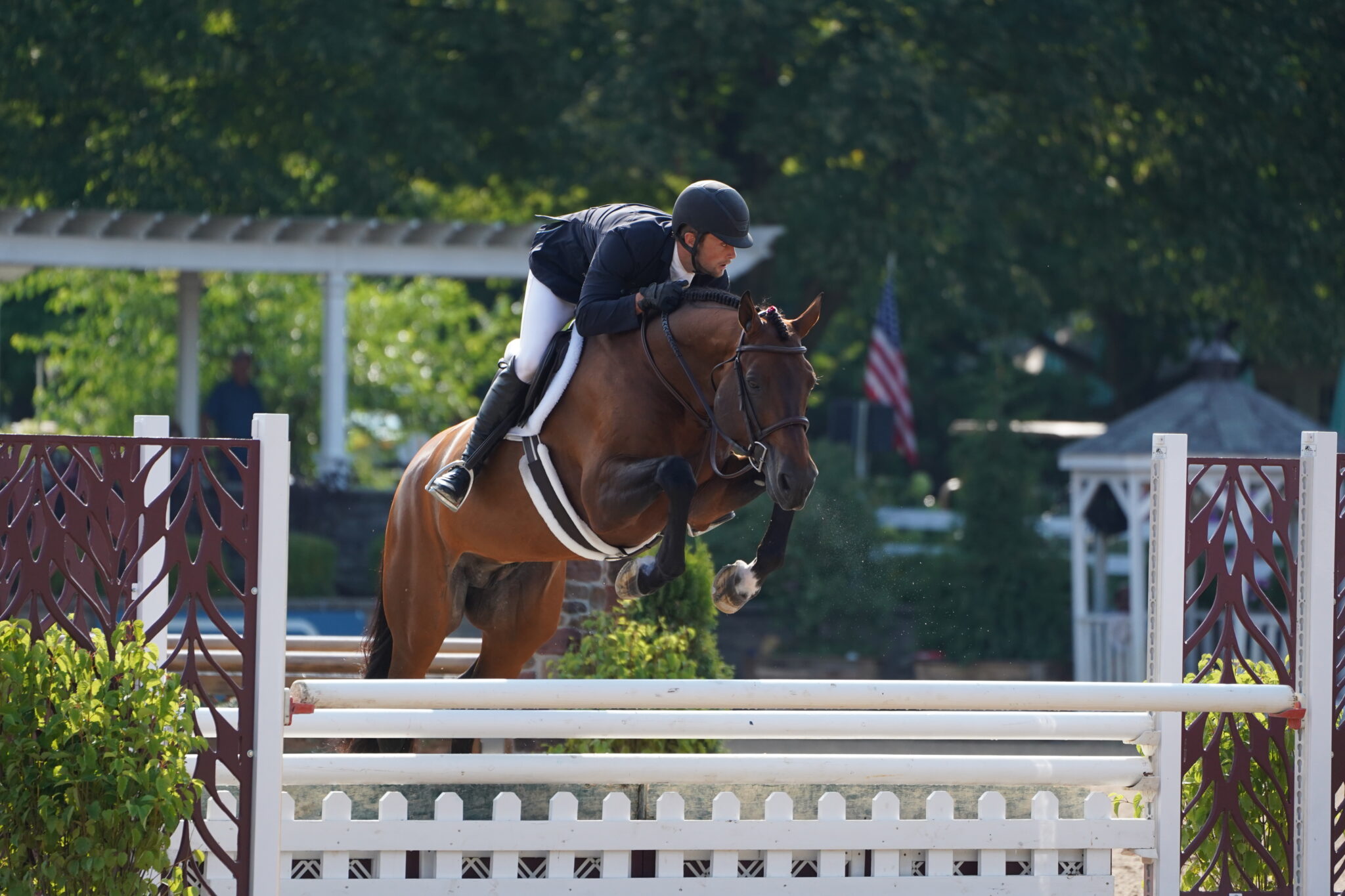 Jennifer Alfano Secures Double Derby Wins at HITS Chicago Summertime ...