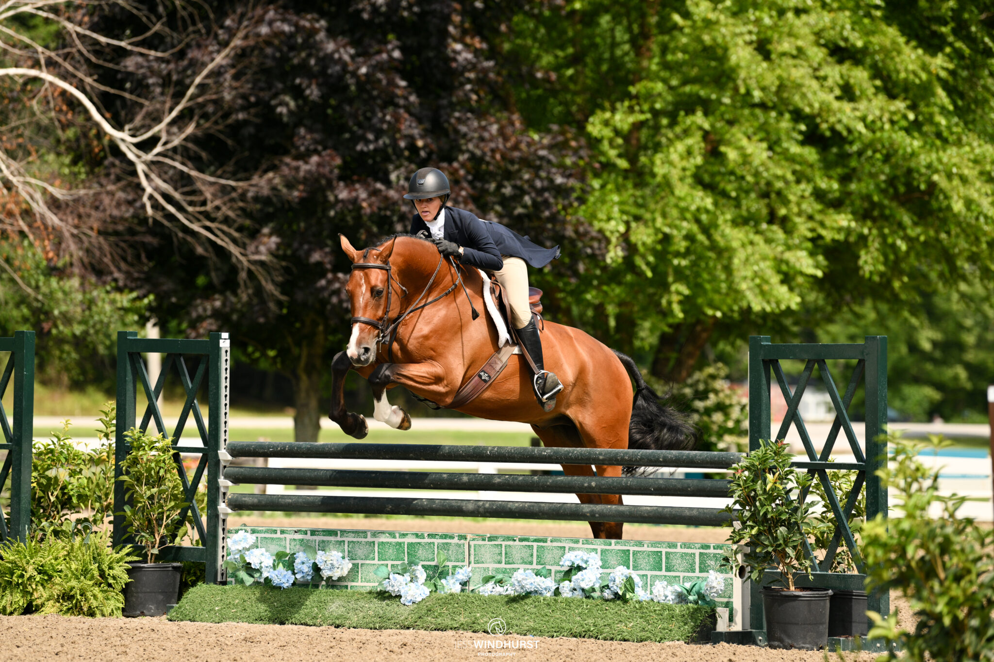 Another Week, Another Win for Morgan Ward and Comissario in the $5,000 ...