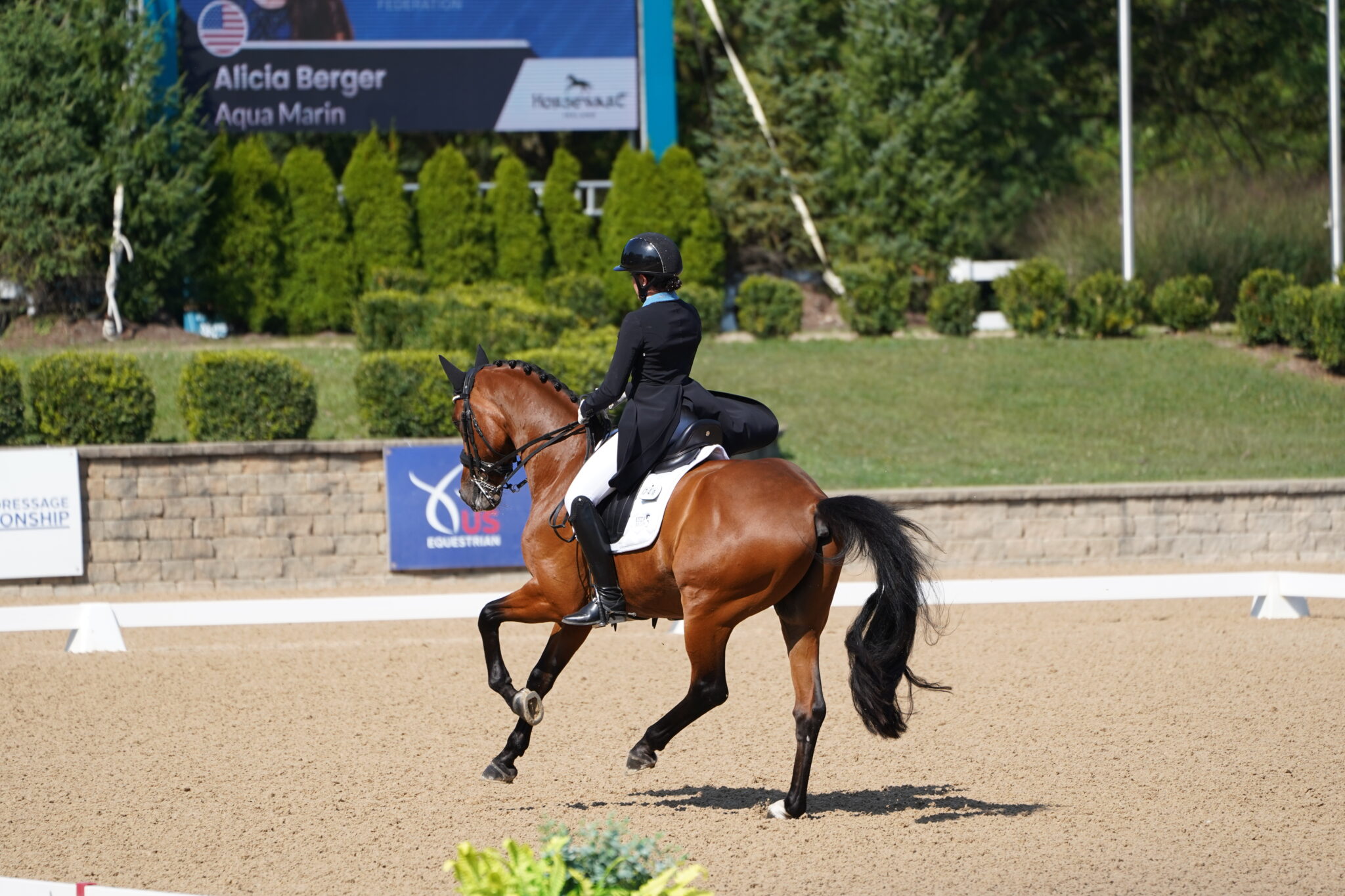 HITS Chicago - HITS Horse Shows