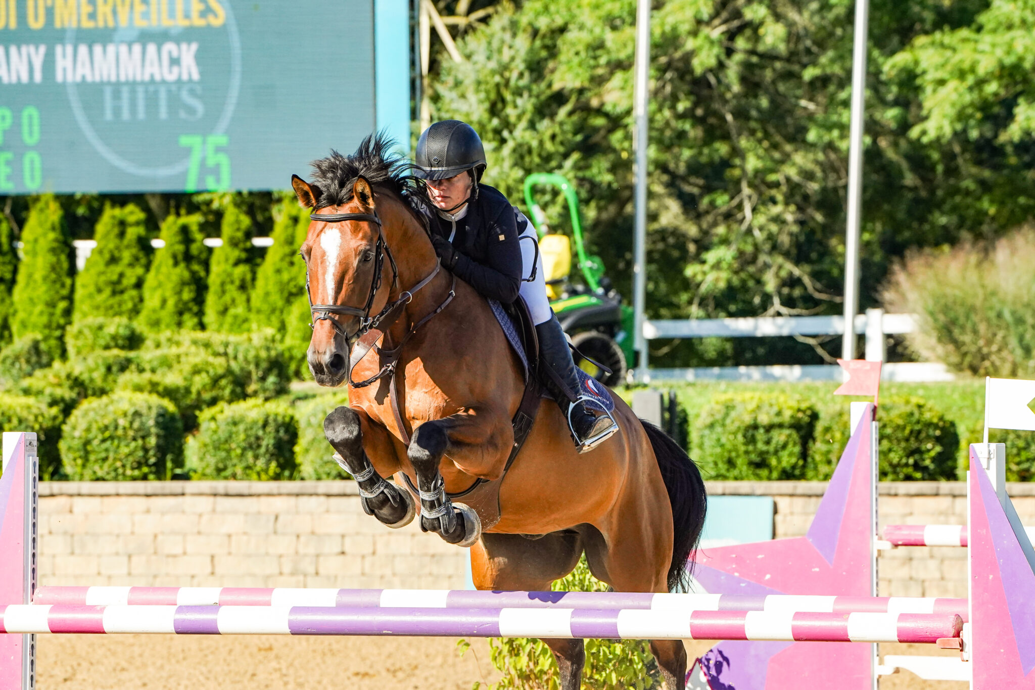 HITS Chicago - HITS Horse Shows