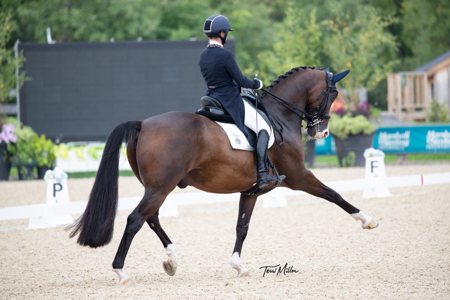 News - HITS Horse Shows