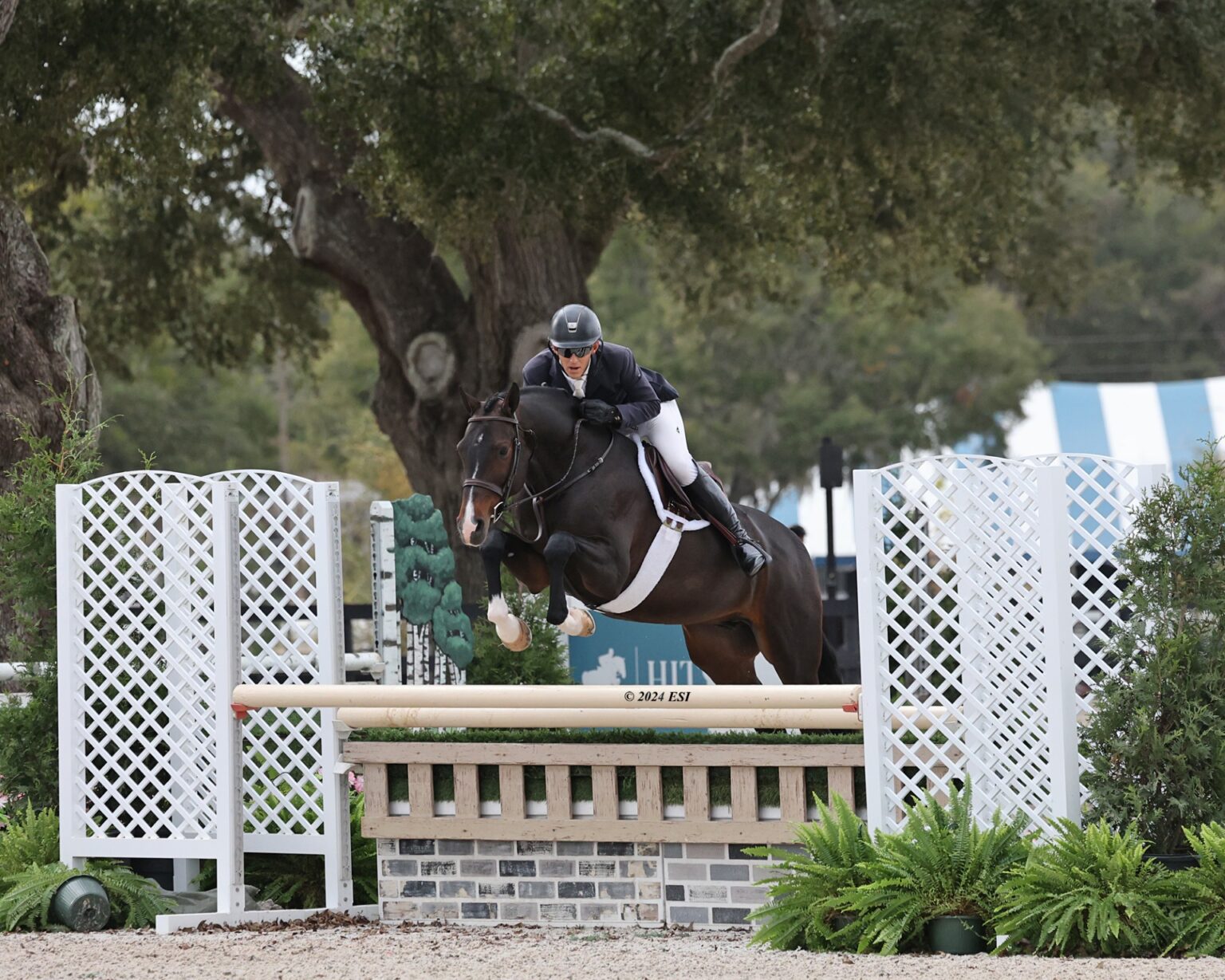 Brady Mitchell Delivers a One-Two Punch in $5,000 ClipMyHorse.tv ...