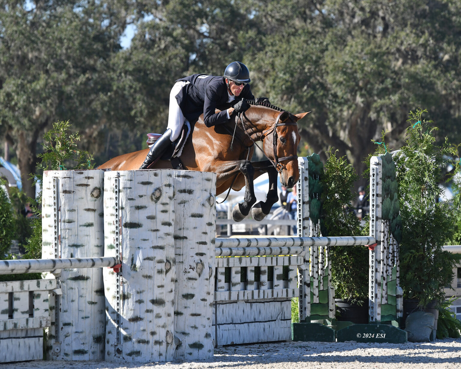 News - HITS Horse Shows