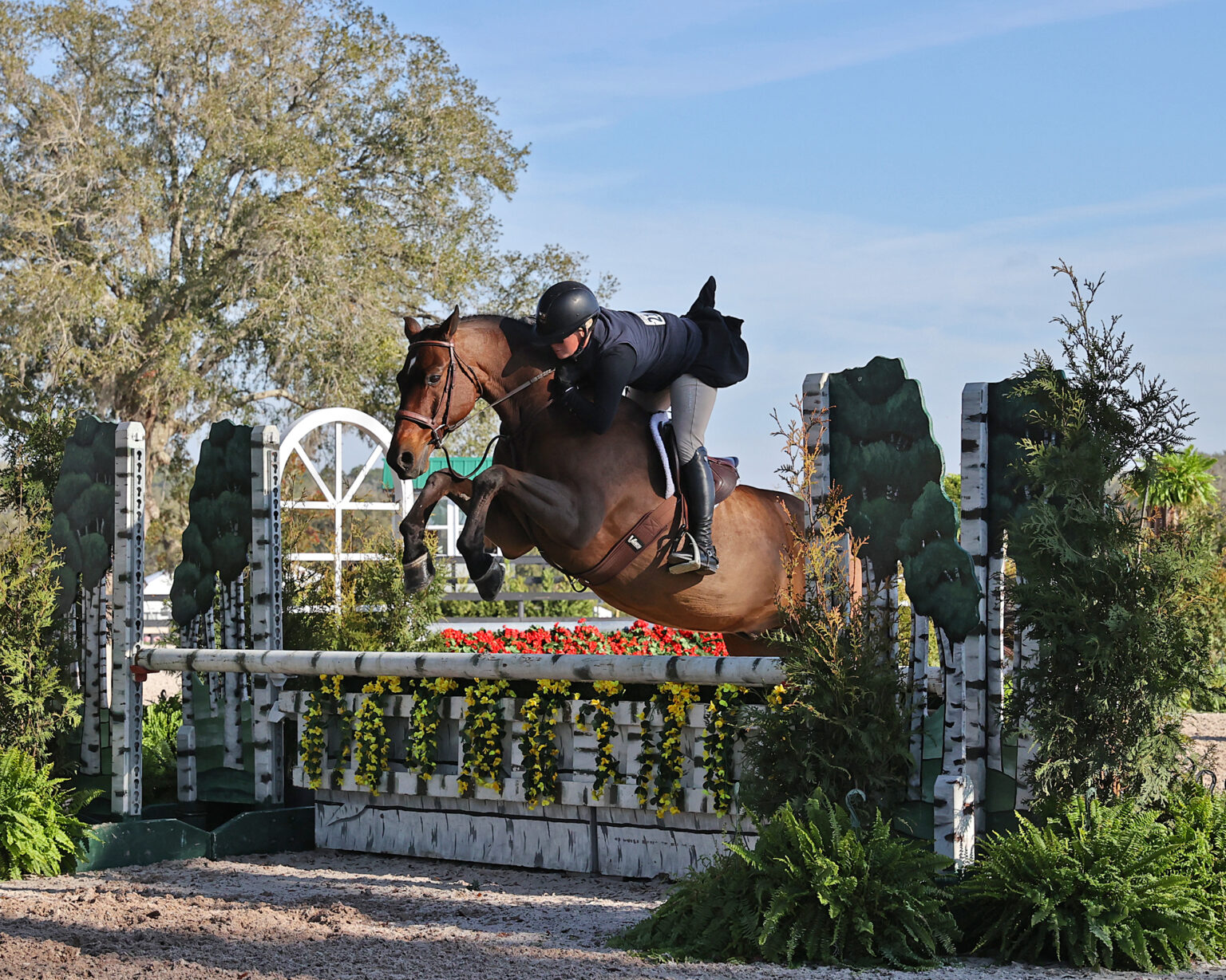 HITS Ocala - HITS Horse Shows
