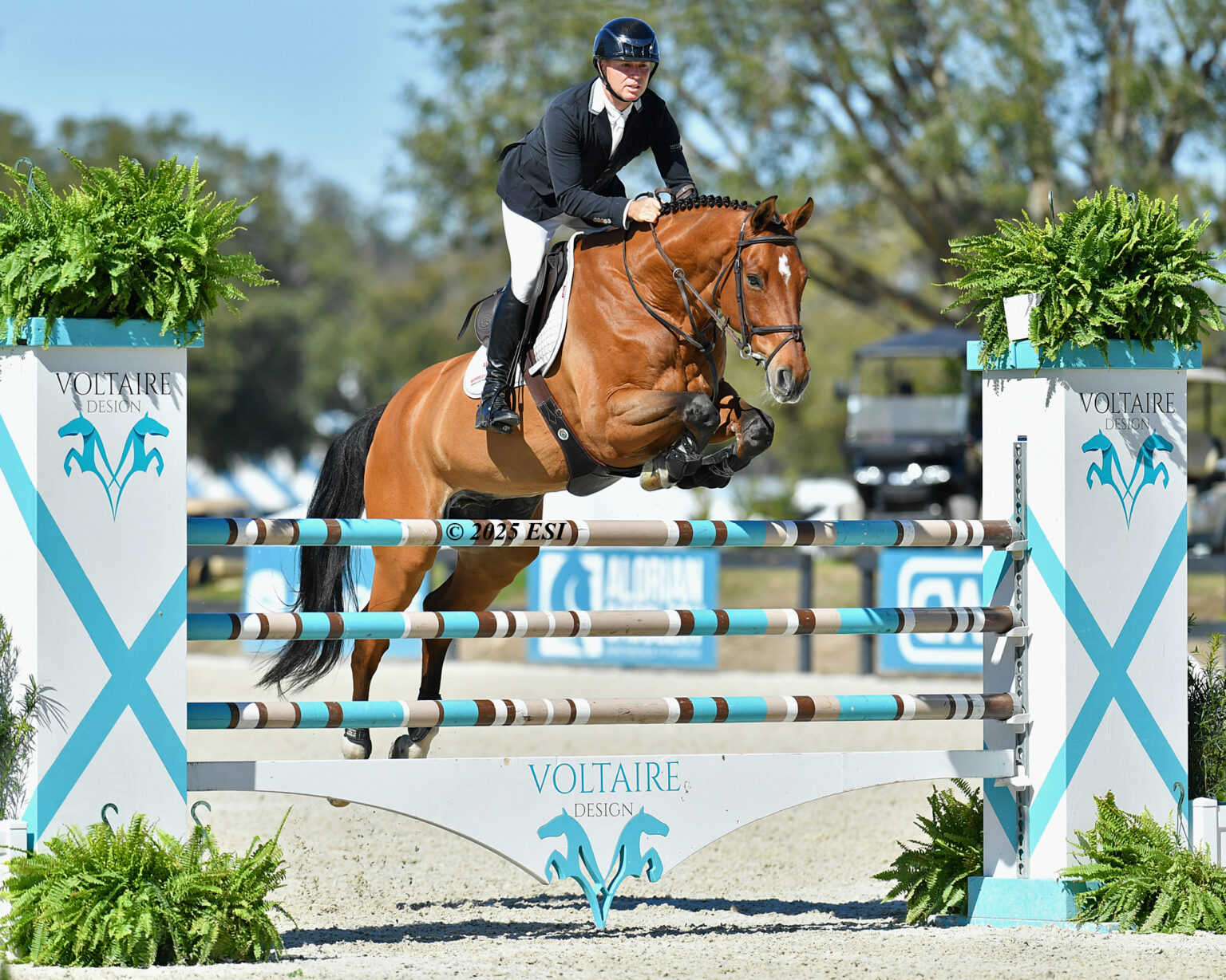 HITS Ocala - HITS Horse Shows