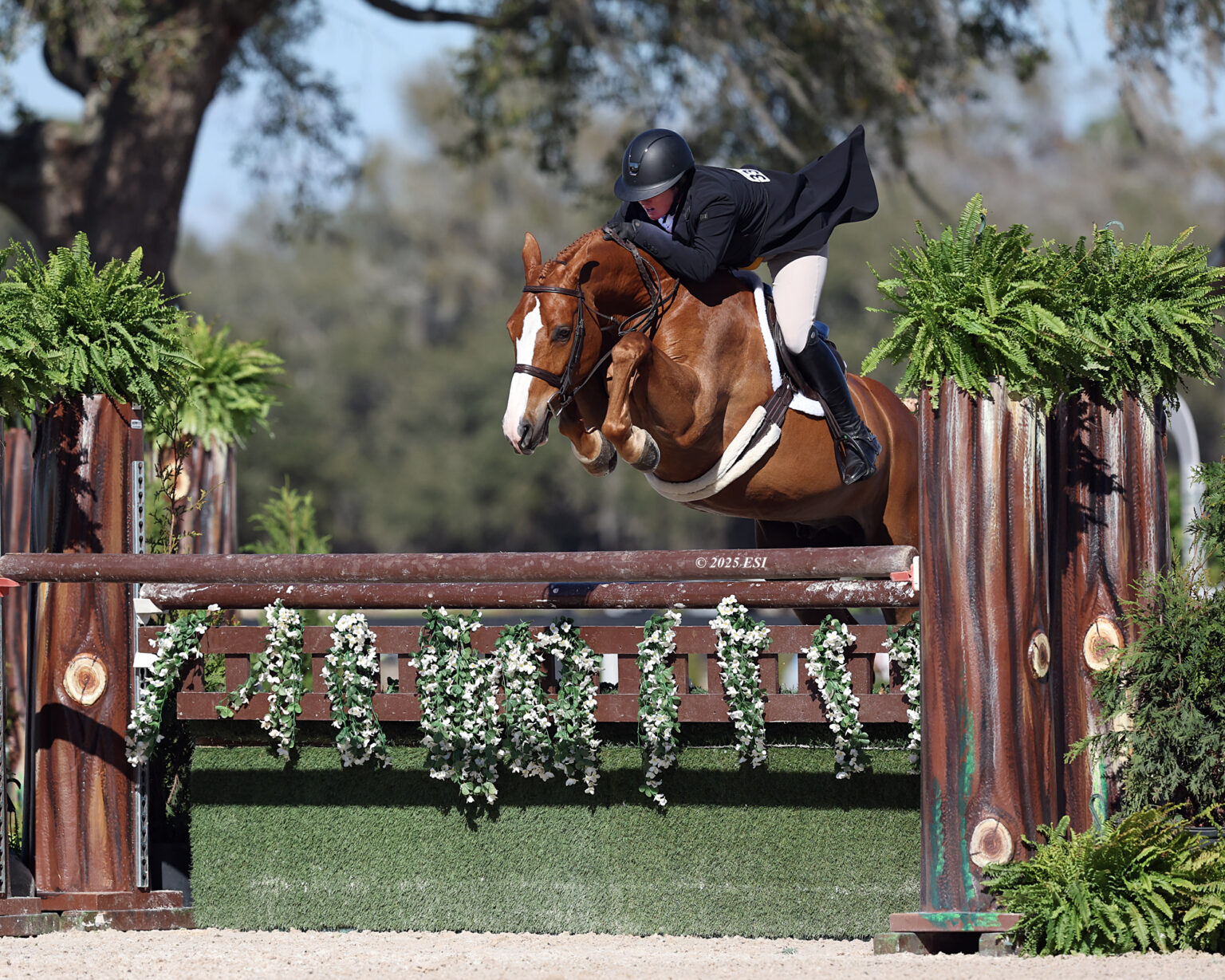 HITS Ocala - HITS Horse Shows