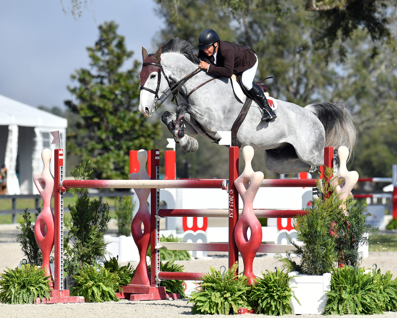 HITS Ocala - HITS Horse Shows