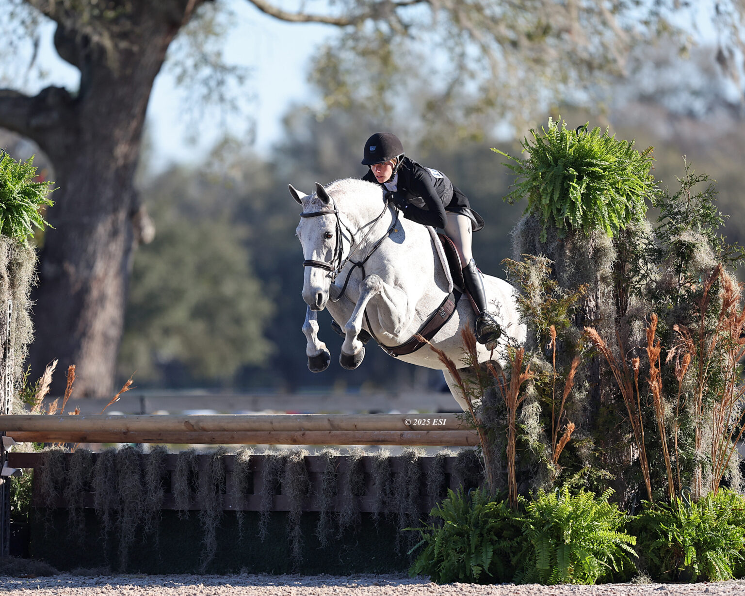 News - HITS Horse Shows