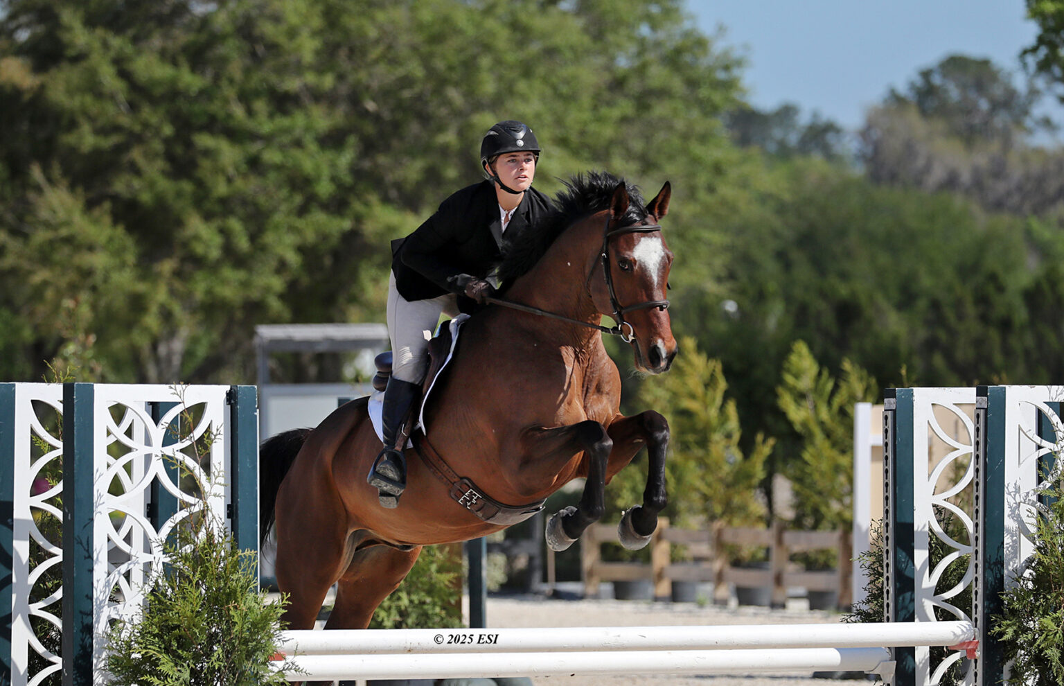 Festival of the Horse™ - Ocala - HITS Horse Shows