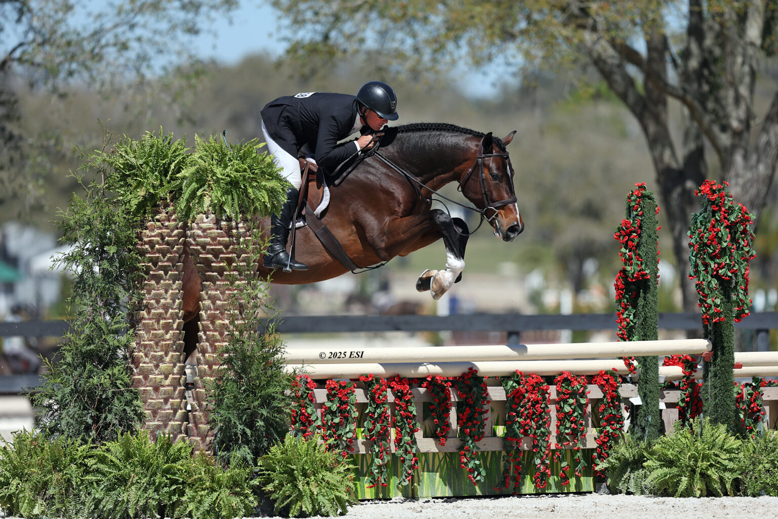 News - HITS Horse Shows