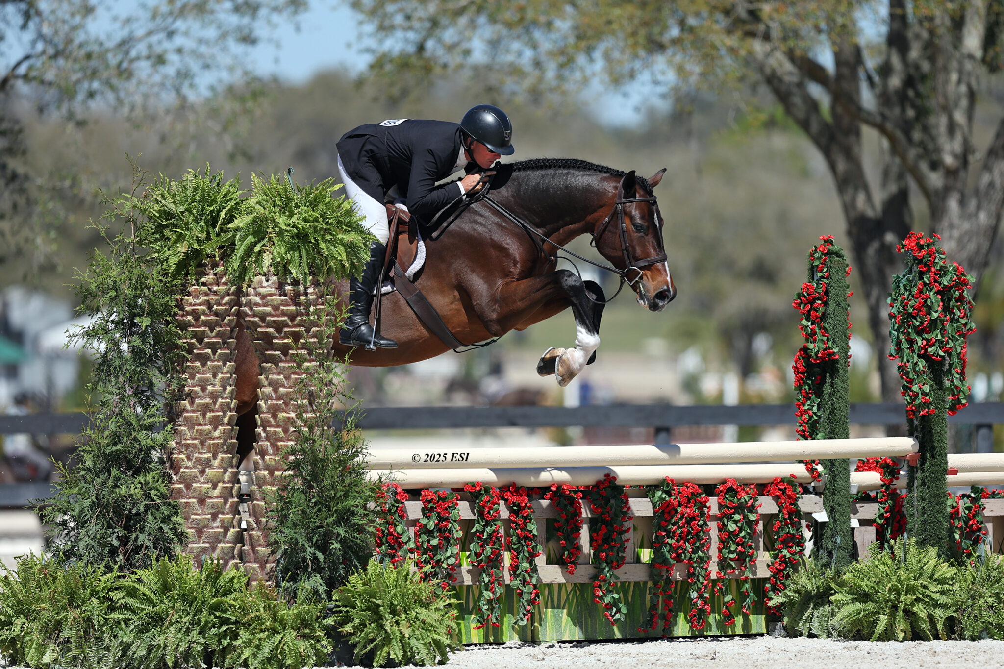 HITS Ocala - HITS Horse Shows