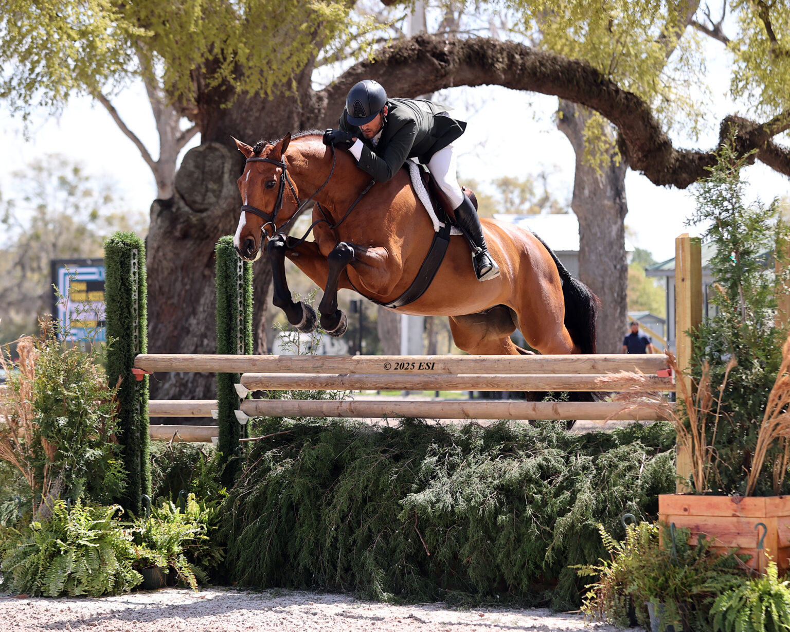 News - HITS Horse Shows