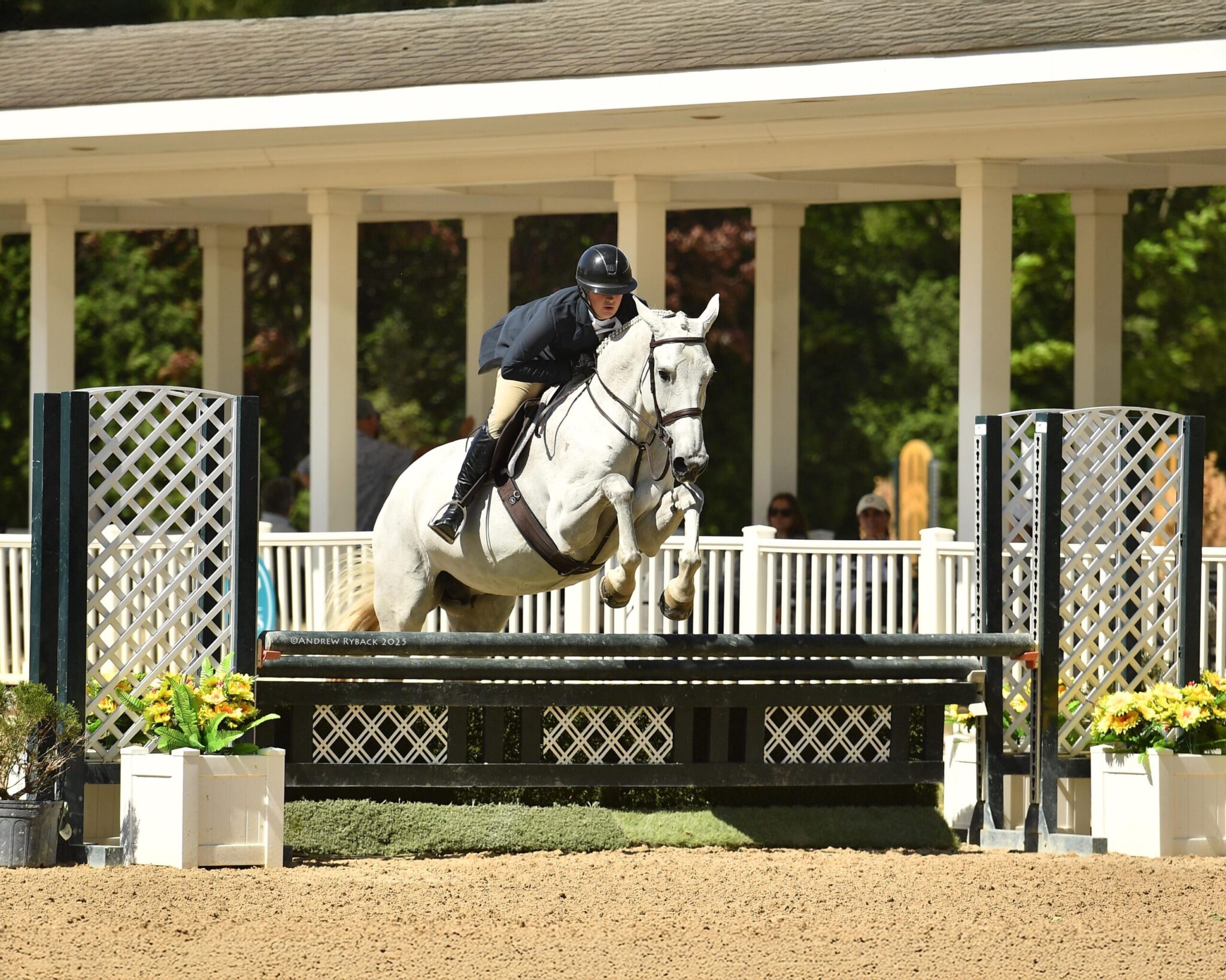 HITS Chicago - HITS Horse Shows
