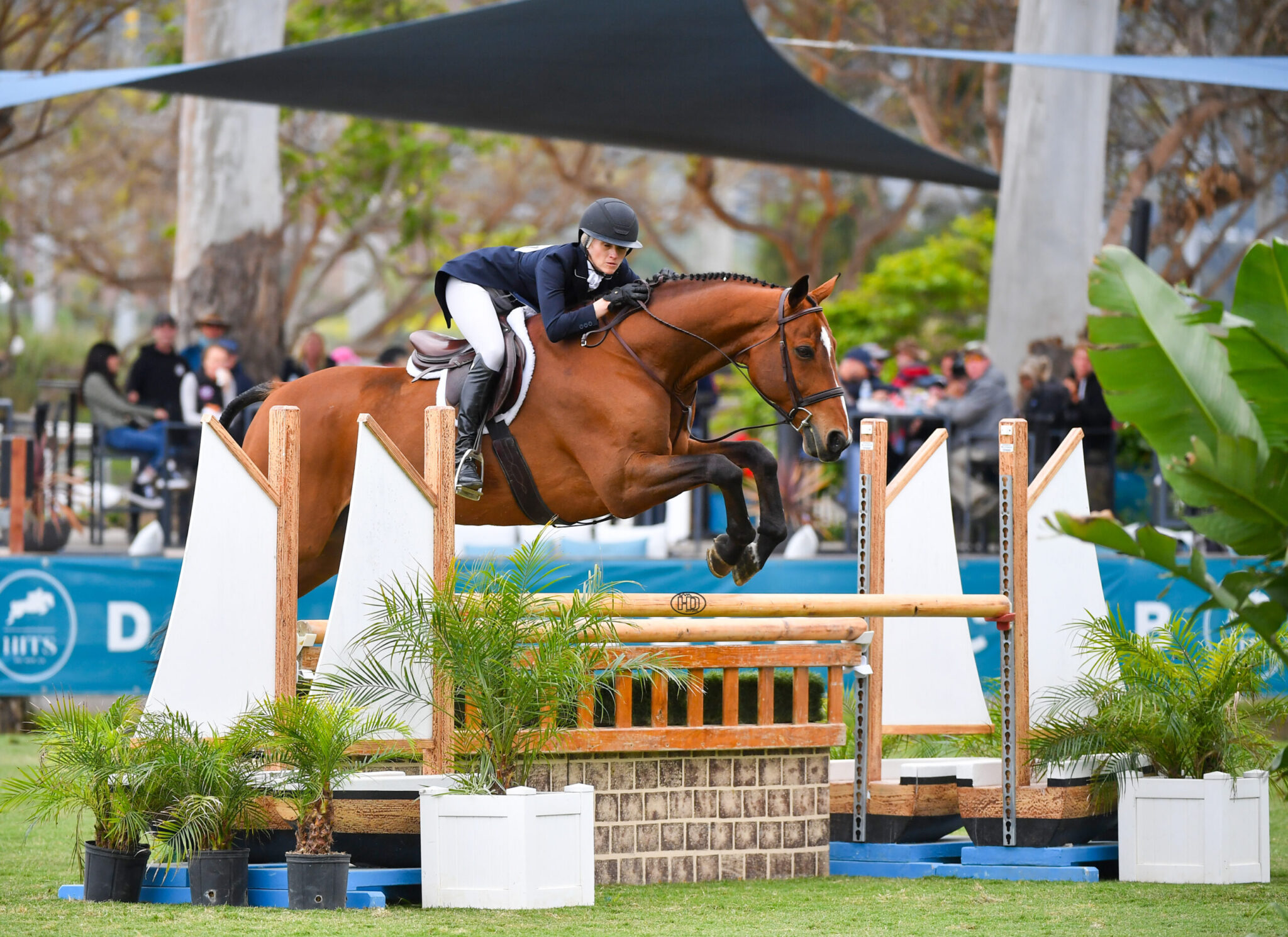 News - HITS Horse Shows