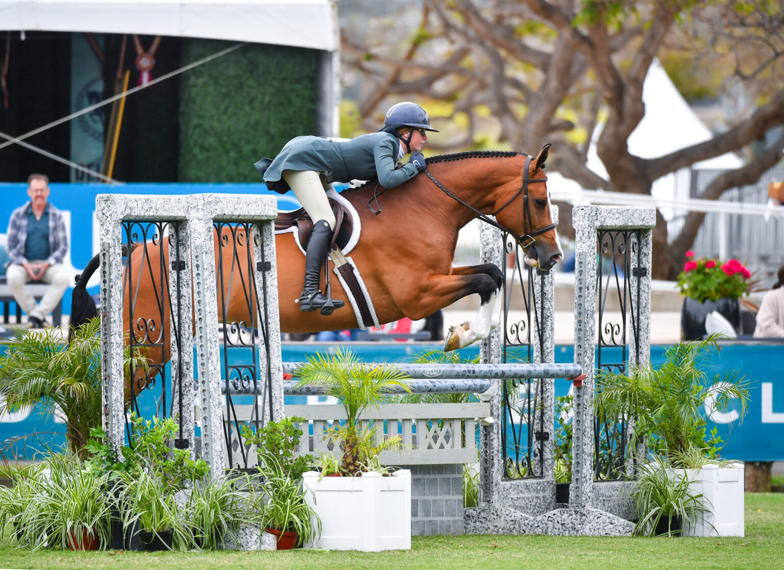 HITS Del Mar Calendar - HITS Horse Shows