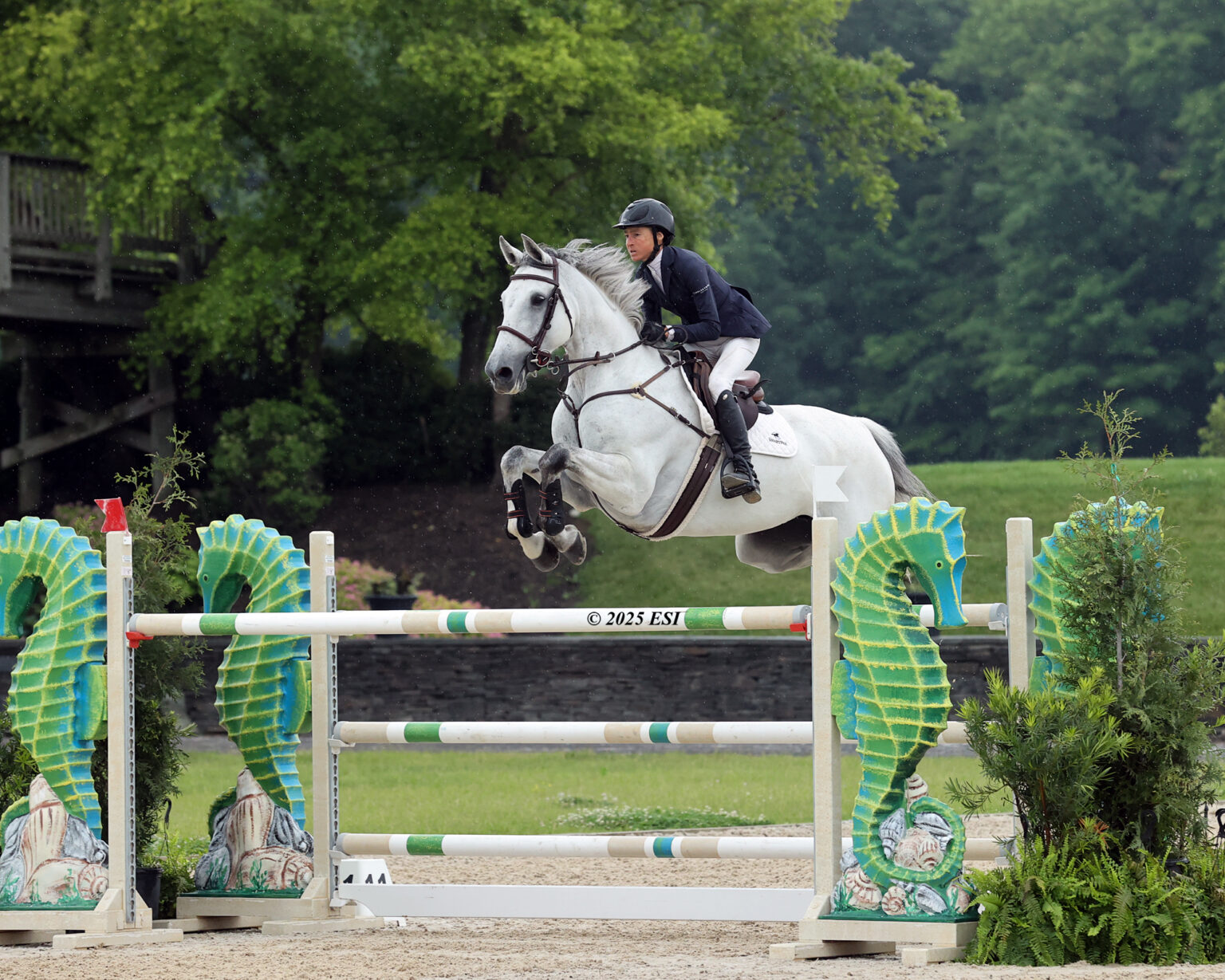 News - HITS Horse Shows