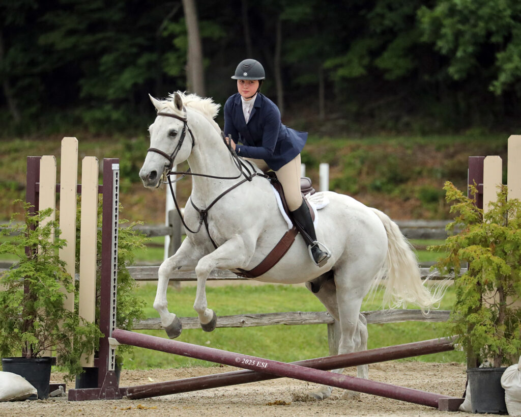 HITS-on-the-Hudson - HITS Horse Shows