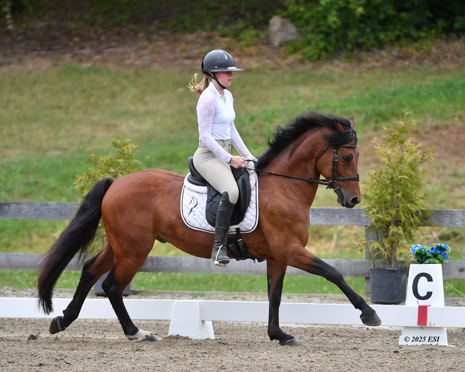 HITS Ocala Calendar - HITS Horse Shows