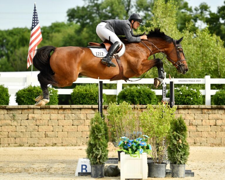 HITS Lamplight Equestrian Center - HITS Horse Shows