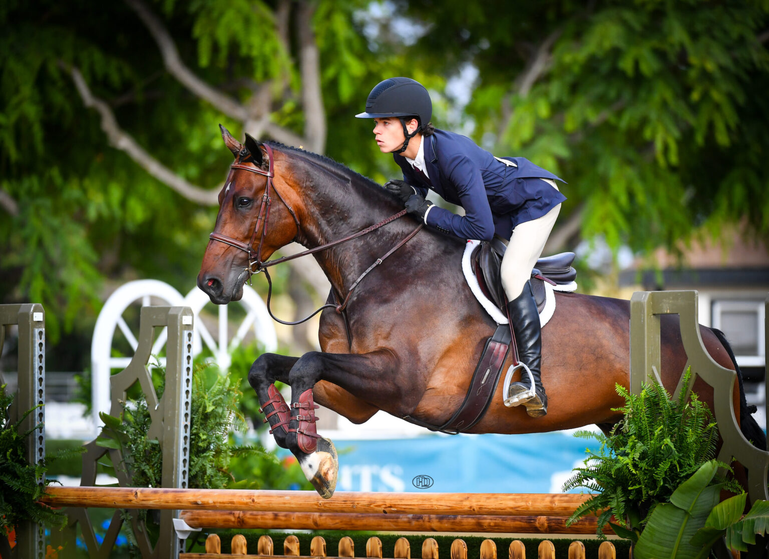 Dane Anson and Celestino Shine in the 2025 USHJA Gladstone Equitation ...