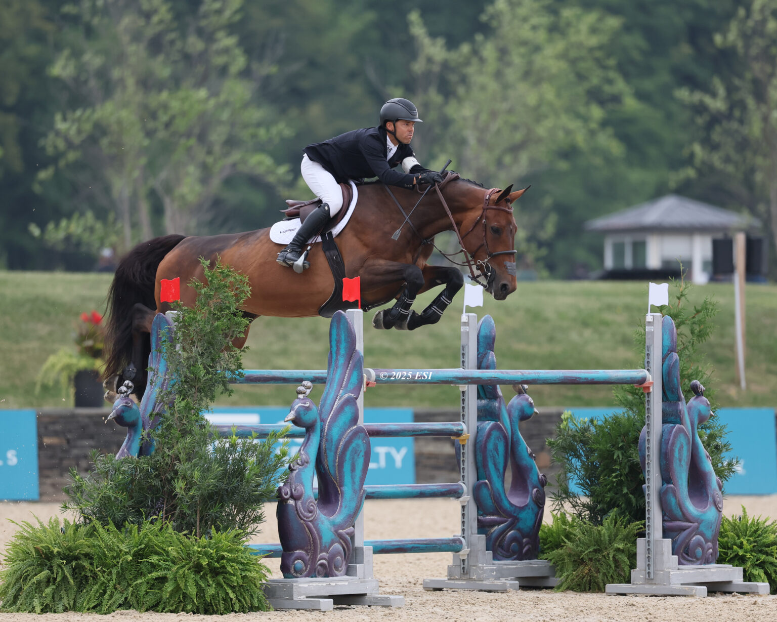 Kent Farrington and Grass de Mars Are Uncatchable in $62,480 CSI3 ...