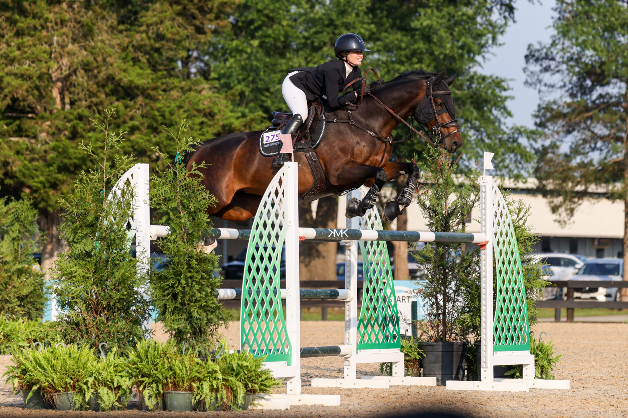 HITS Culpeper Calendar - HITS Horse Shows
