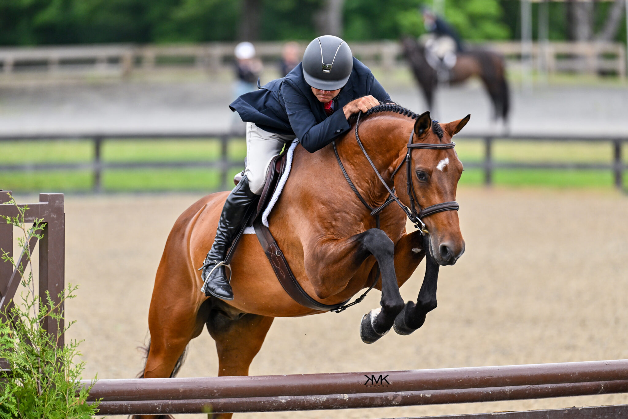 Jason Berry Bests the Field With Overruled in $10,000 USHJA Open ...