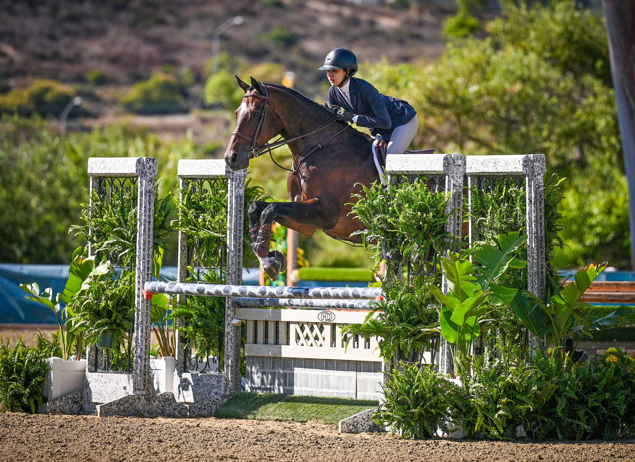 Dane Anson and Celestino Shine in the 2025 USHJA Gladstone Equitation ...