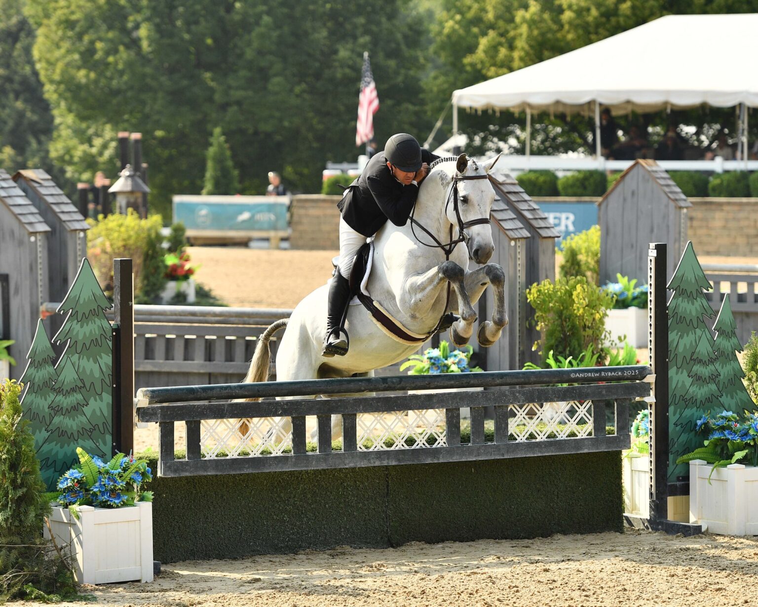Evan Coluccio and Nice Guy Especiale Deliver a Special Finish in the ...