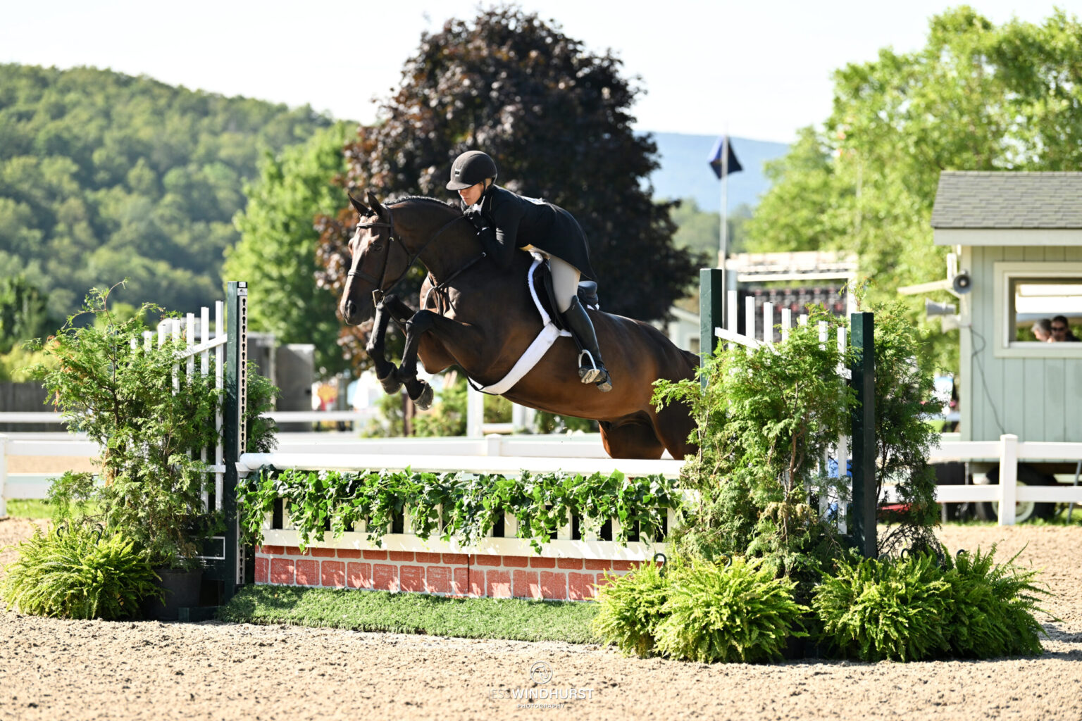 Sarah Stewart and Londarco Lead the Way in the $5,000 USHJA National ...