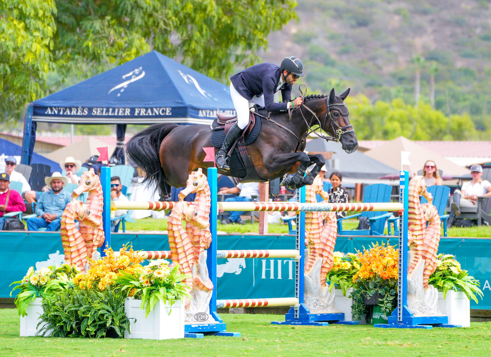 James Chawke and Daido van’t Ruytershof Z Zoom to the Win in the ...