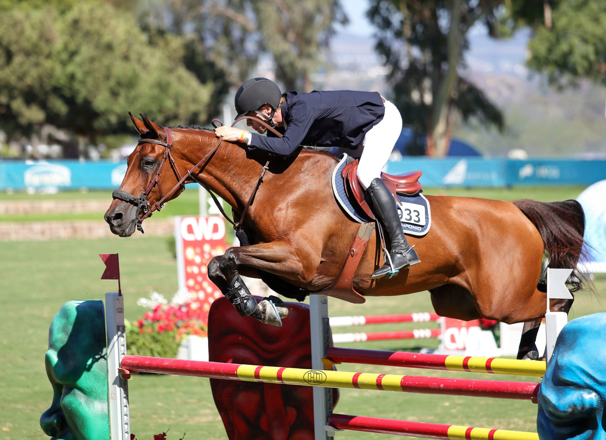 Karl Cook and Caracole de la Roque Catapult to the Top of the $90,000 ...
