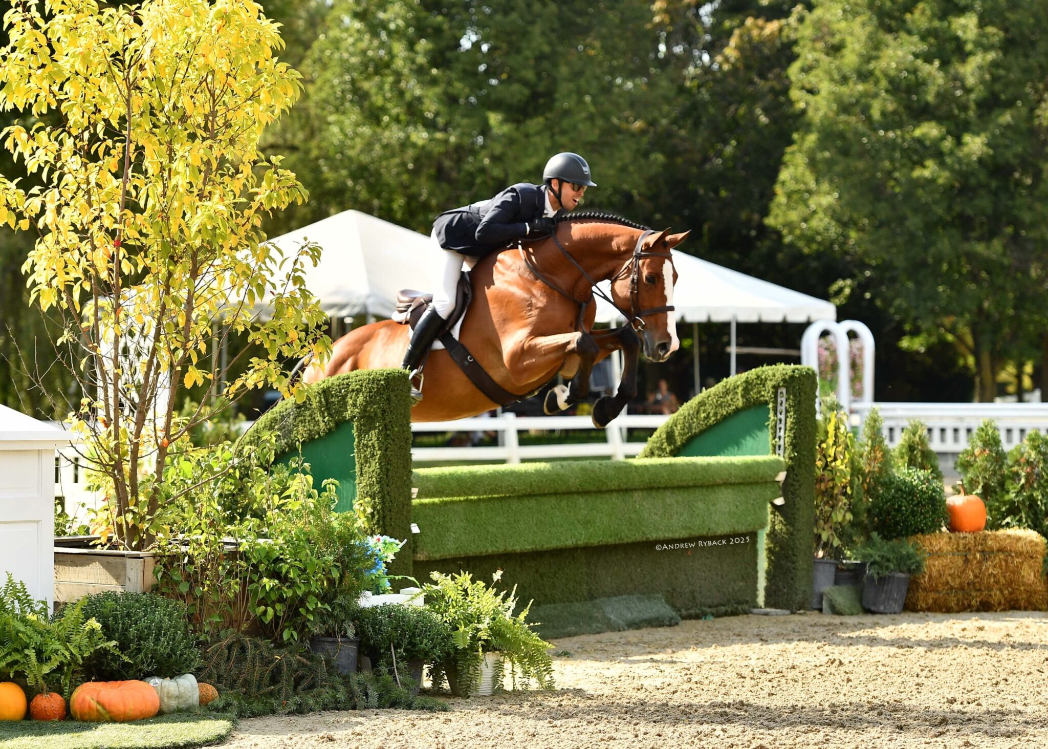 Ryan Sassmannshausen and Cold Crush Deliver a Cool Finish in the $5,000 ...