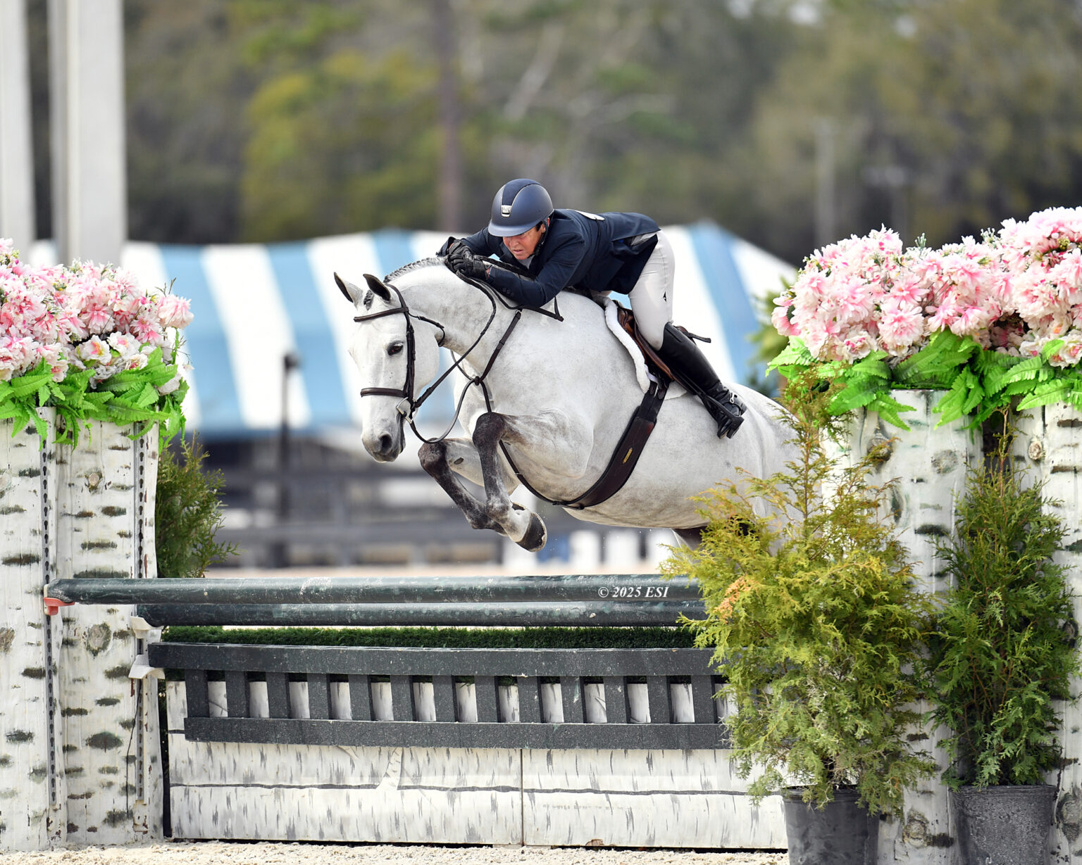 HITS Ocala Calendar - HITS Horse Shows