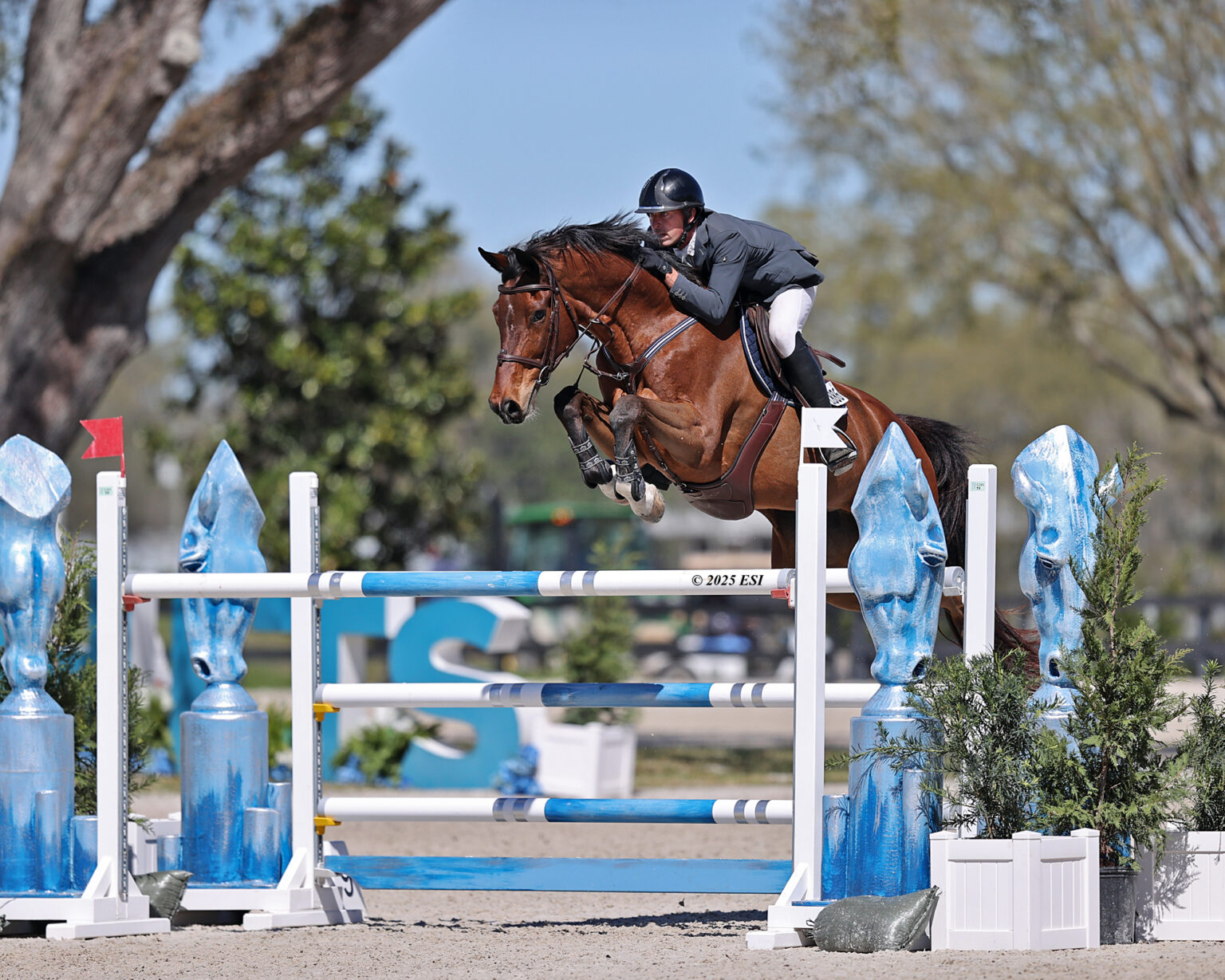 HITS Ocala Calendar - HITS Horse Shows