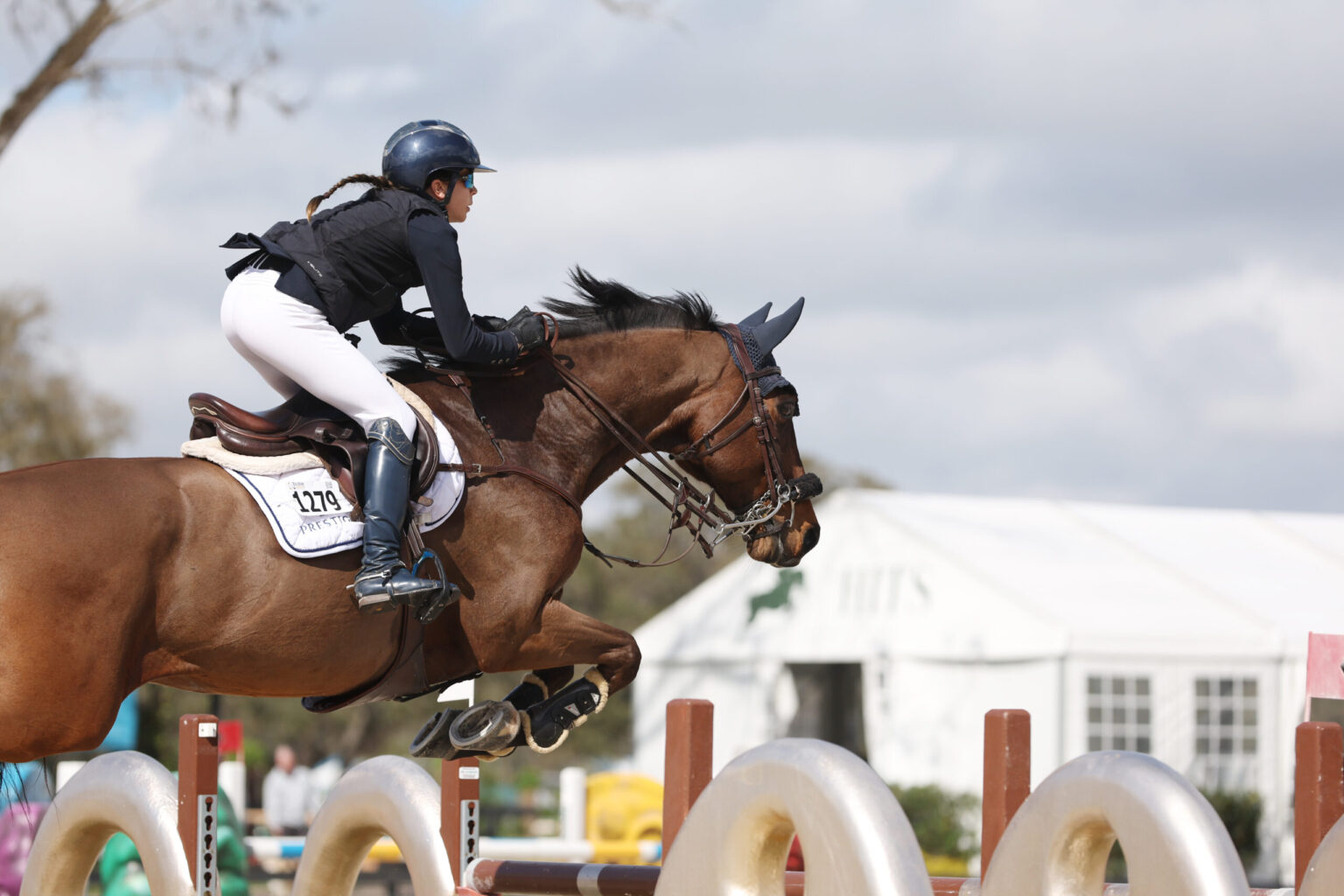 HITS Ocala Calendar - HITS Horse Shows
