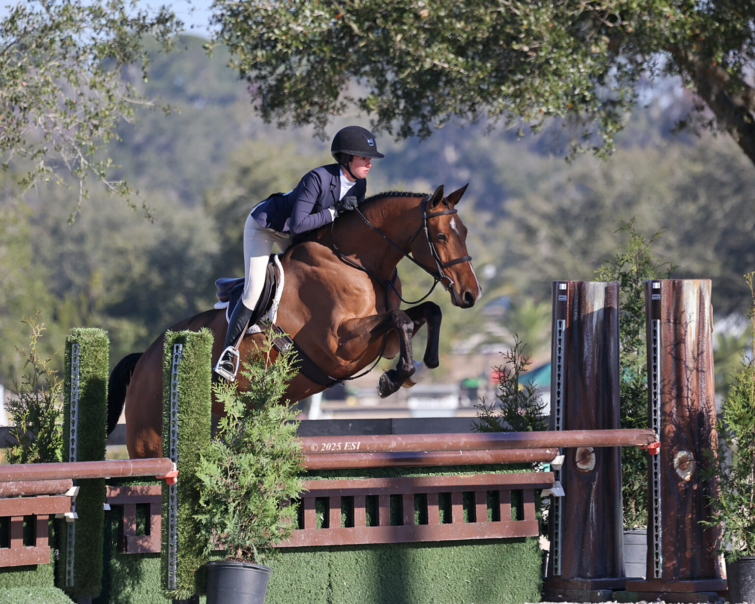 HITS Ocala Calendar - HITS Horse Shows