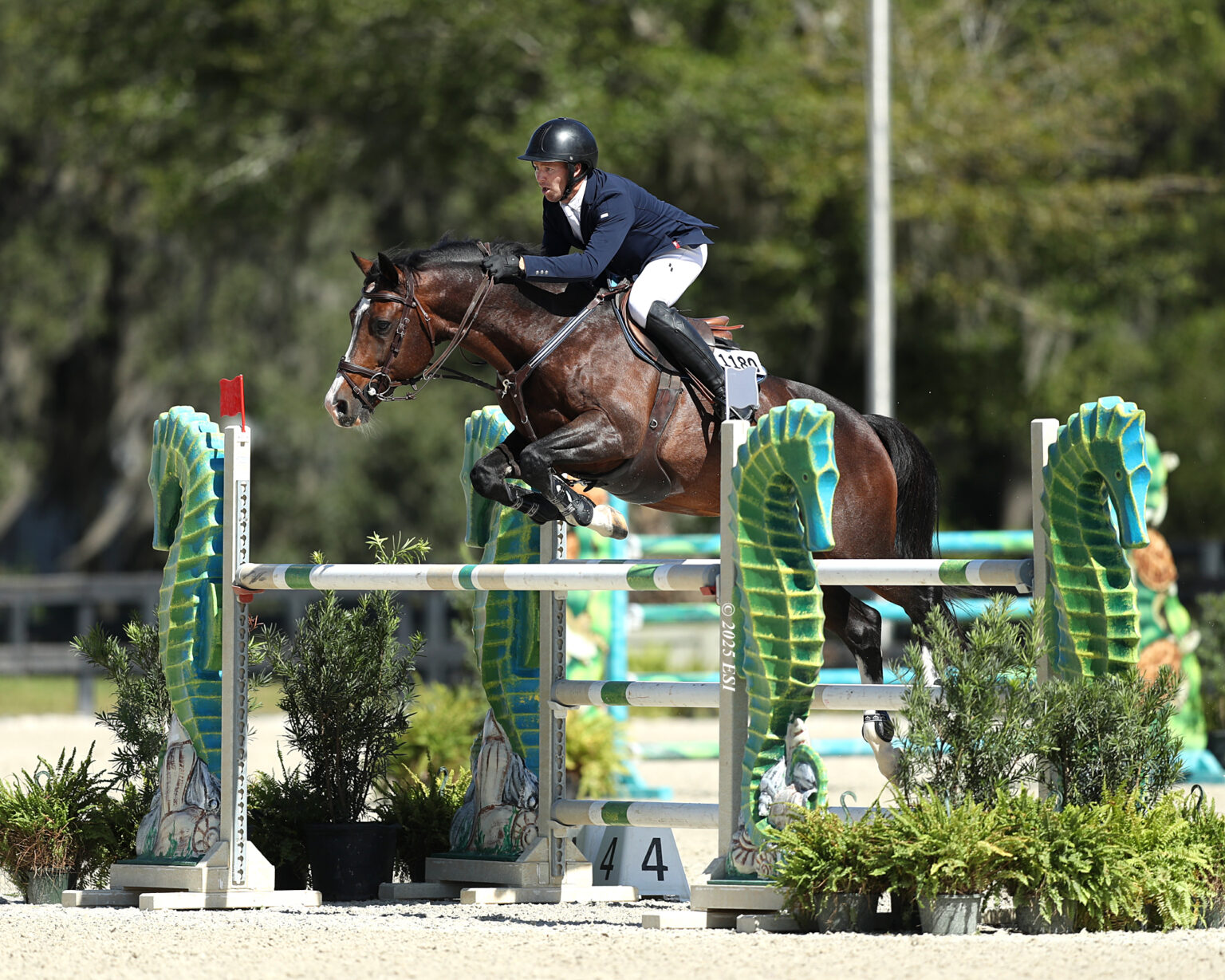 HITS Ocala - HITS Horse Shows