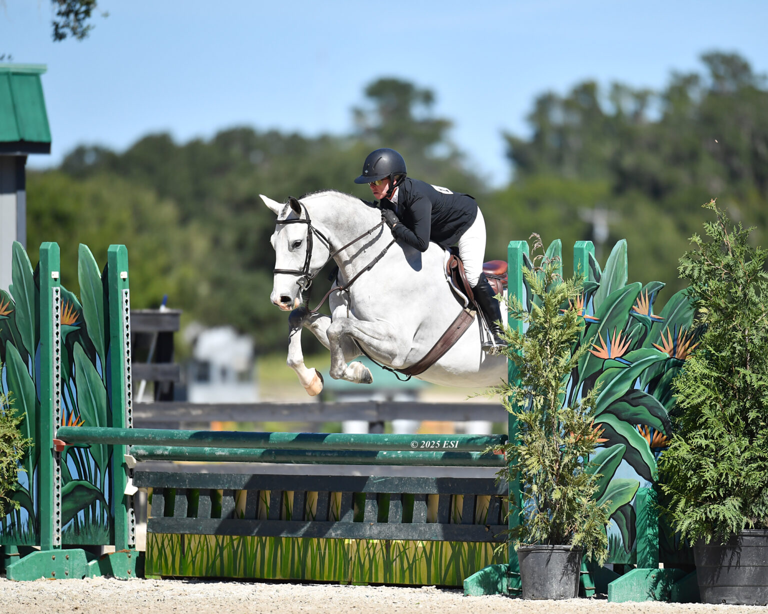 HITS Ocala Calendar - HITS Horse Shows