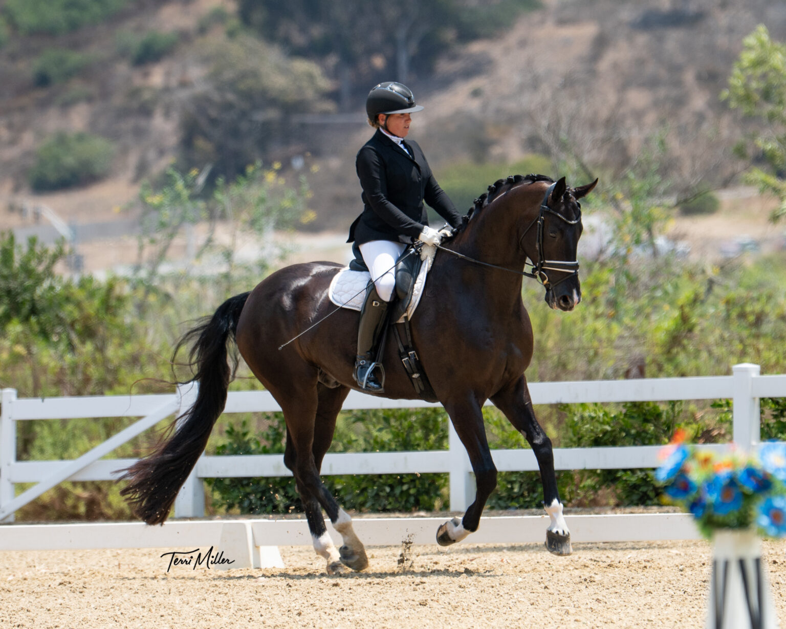 HITS Del Mar Calendar - HITS Horse Shows