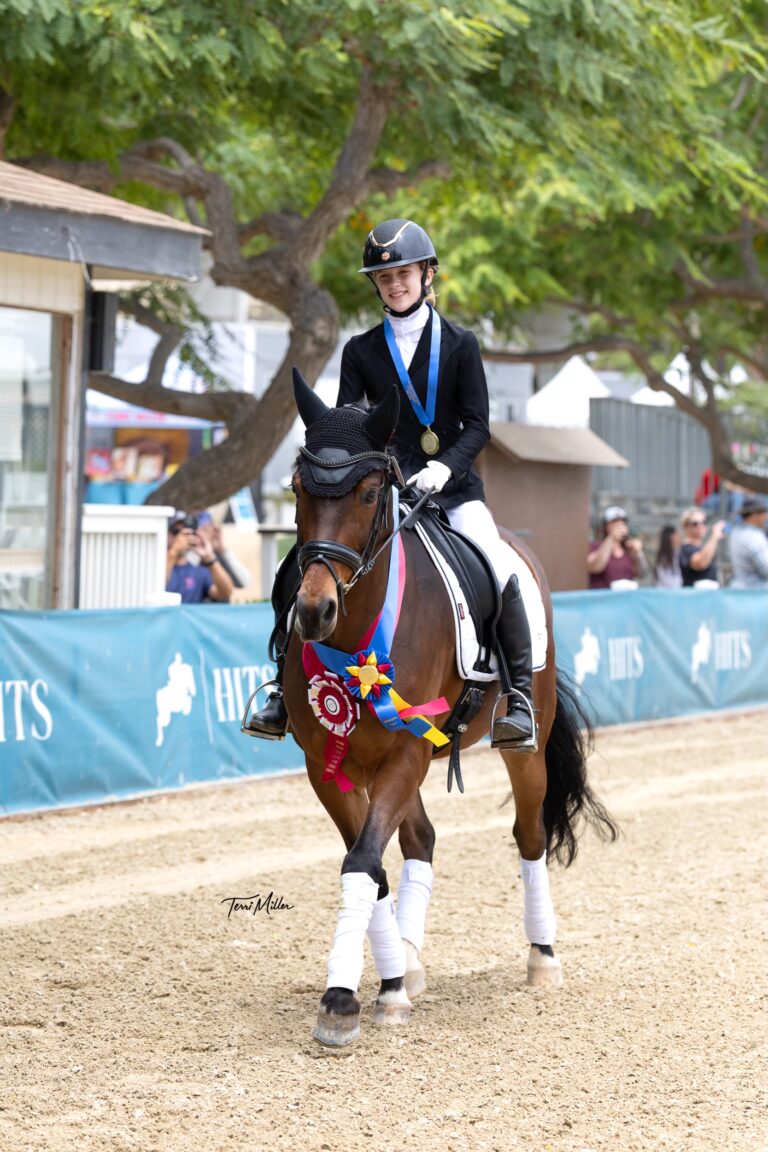 The Putnam Family Dressage Circuit Champions Are Presented at Final ...