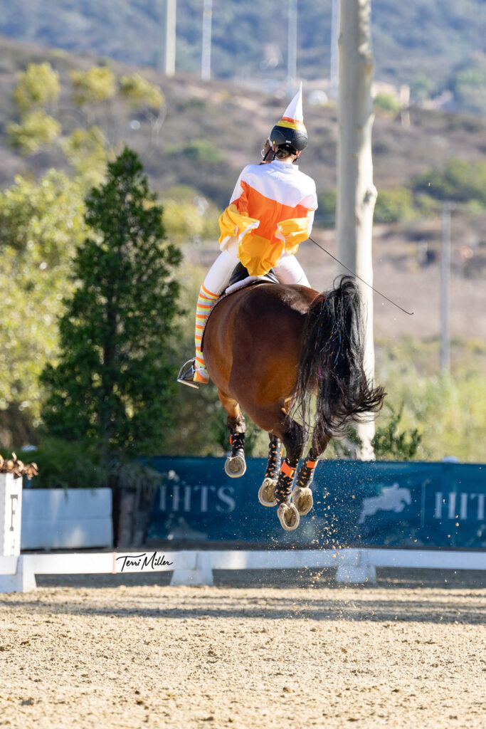 HITS Del Mar Calendar - HITS Horse Shows