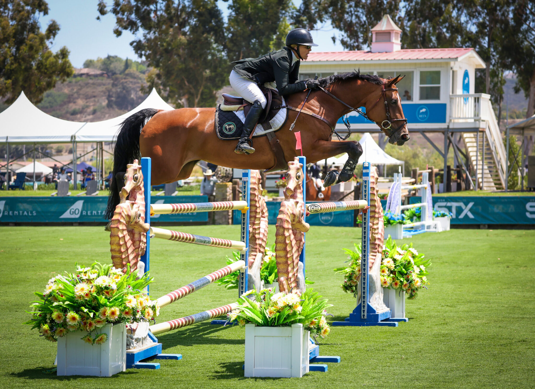 HITS Del Mar Calendar - HITS Horse Shows