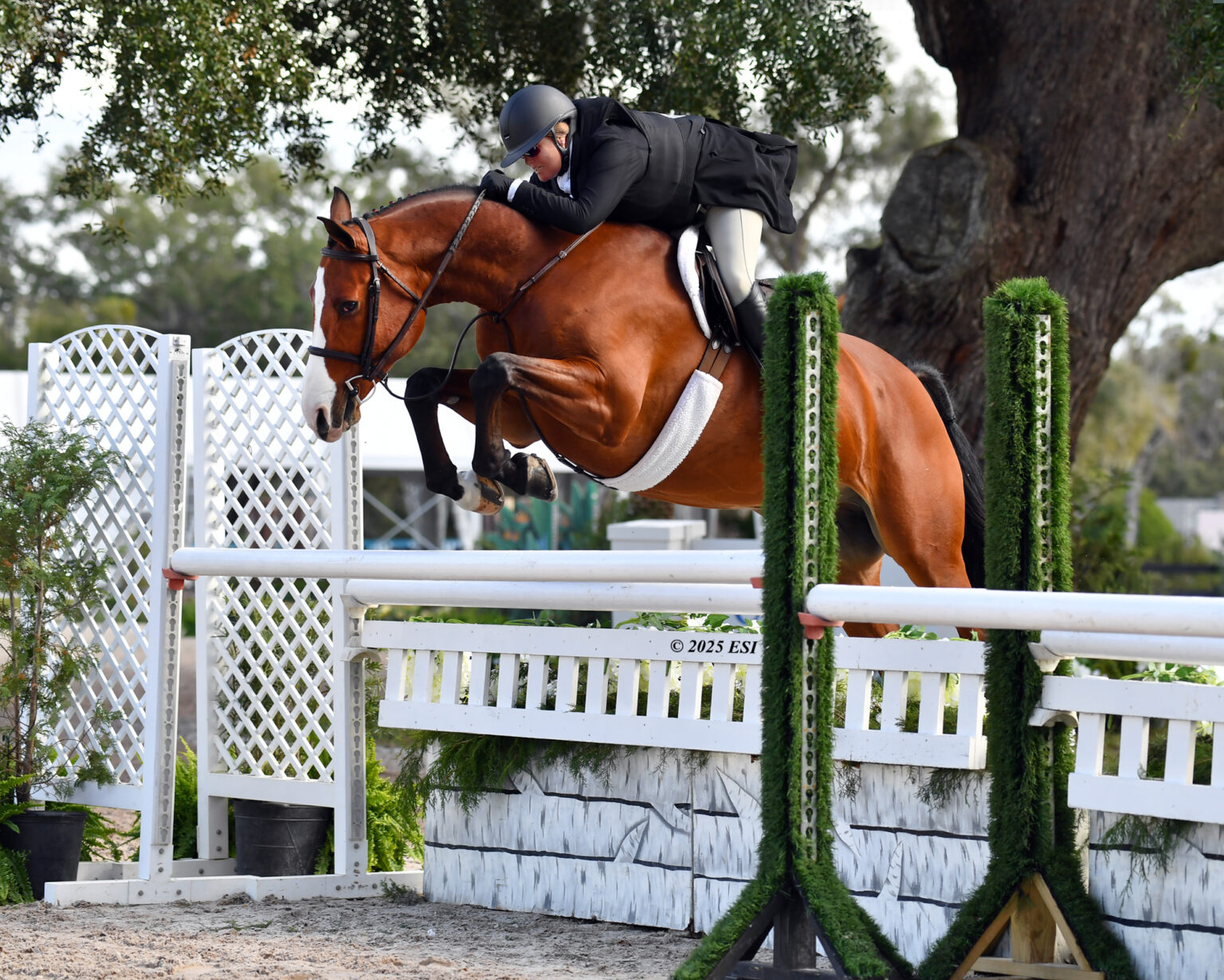 HITS Ocala - HITS Horse Shows