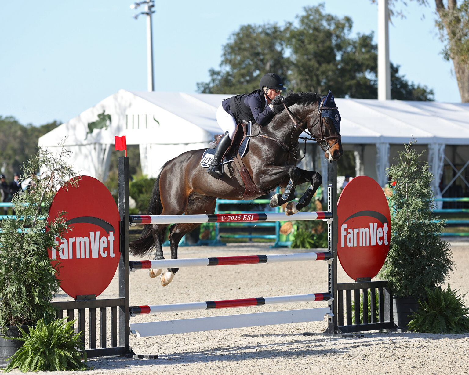 HITS Ocala - HITS Horse Shows